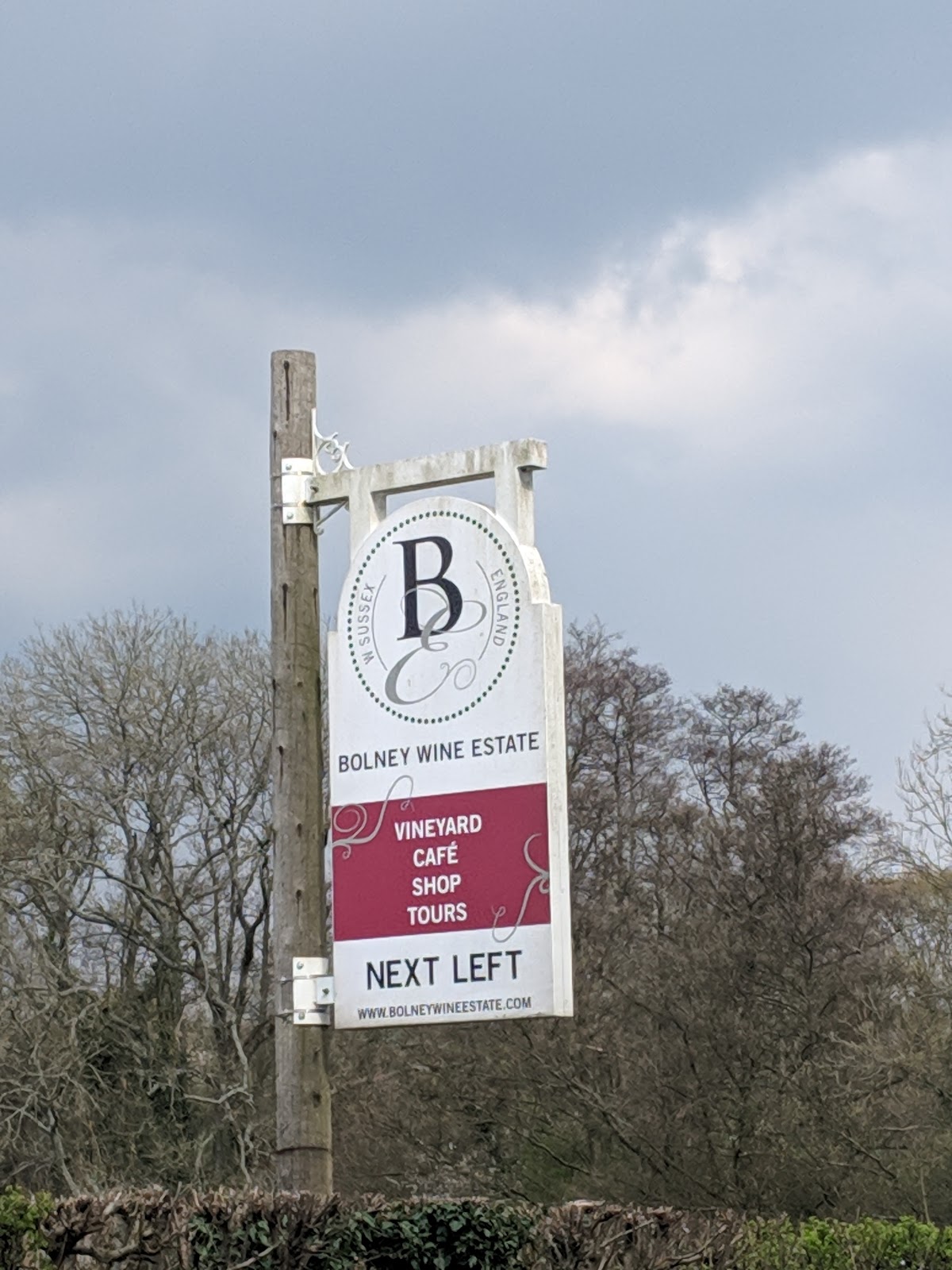 Bolney Estate Vineyard Visit