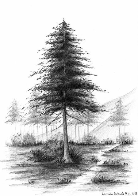 Studium dłoni, nóg oraz... drzewek