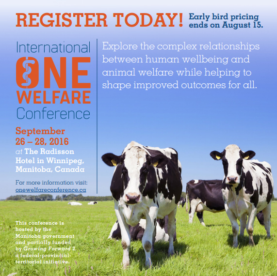 Small Animal Talk: What is One Welfare?