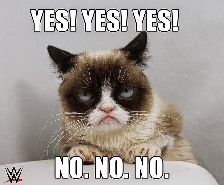 PerPETually Speaking Grumpy Cat And The WWE perpetually-speaking-grumpy-cat-and-the-wwe