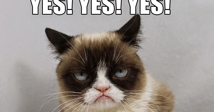 PerPETually Speaking: Grumpy Cat and The WWE