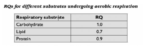 #93 Respiratory substrates, Respiratory quotions | Biology Notes for A ...