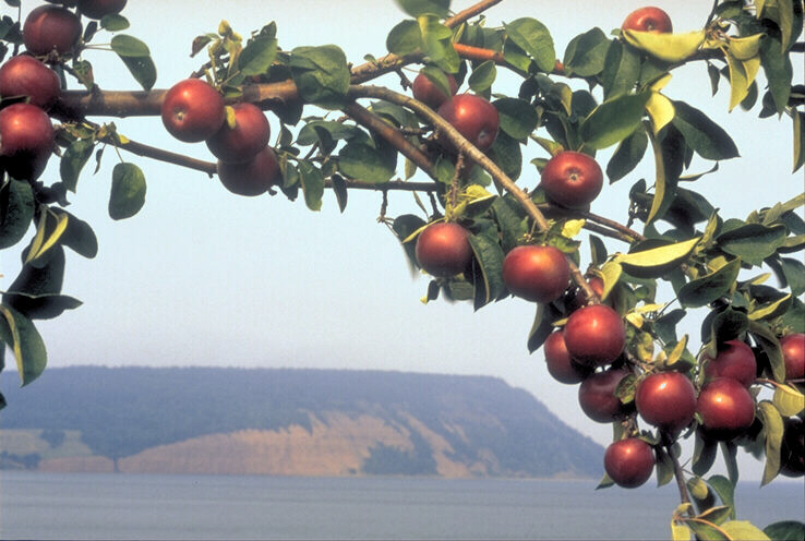 All photos gallery: Natural Disasters, Computer Wallpapers