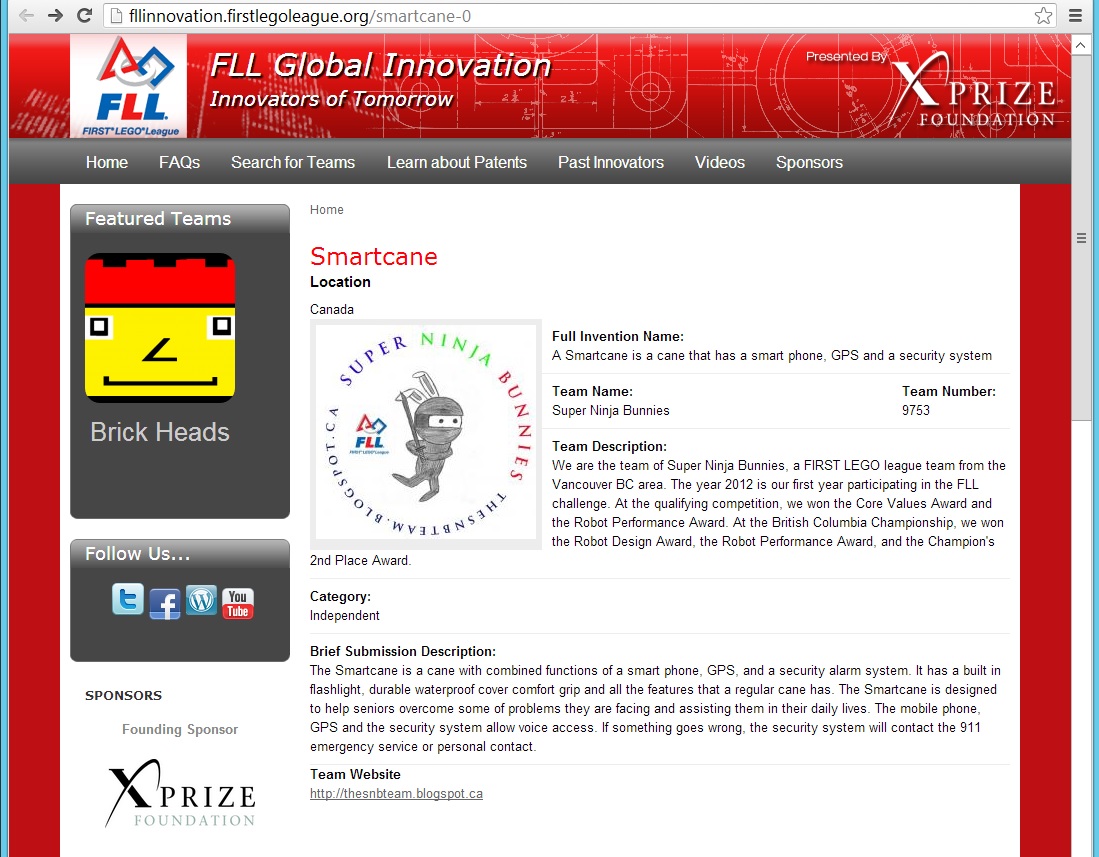 The SNB Team Blog: SNB submitted Smartcane for the FLL Global ...