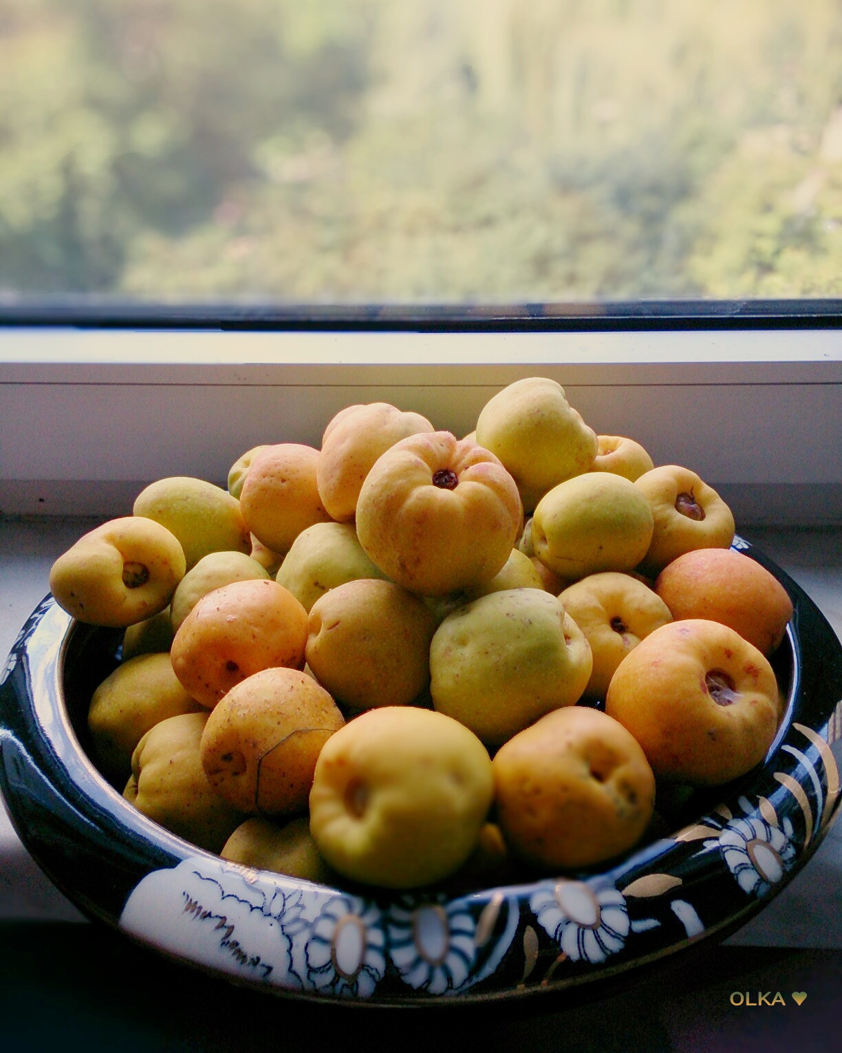 OWOCE PIGWOWCA DOBRE NA WSZYSTKO.... NA NALEWKĘ I DO HERBATY ...