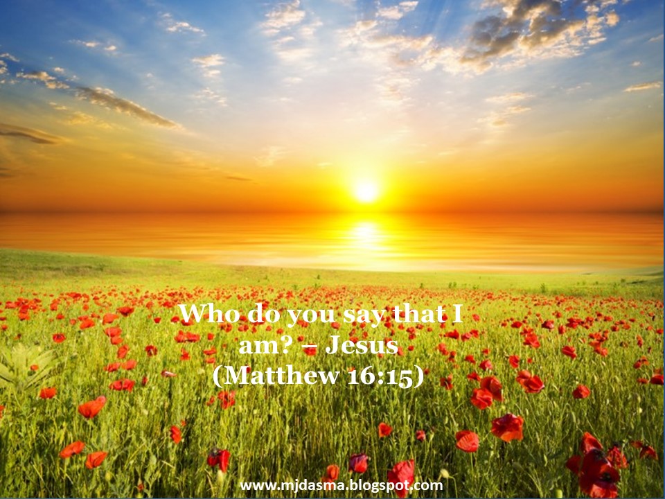 My Reflections...: Reflection for Friday June 29, Solemnity of Saints ...