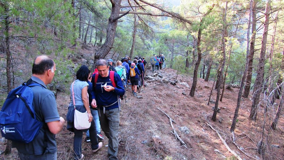 EXPLORE MOUNTAINS: ΠΕΖΟΠΟΡΙΑ ΣΤΟ ΔΑΣΟΣ ΤΗΣ ΘΡΥΠΤΗΣ