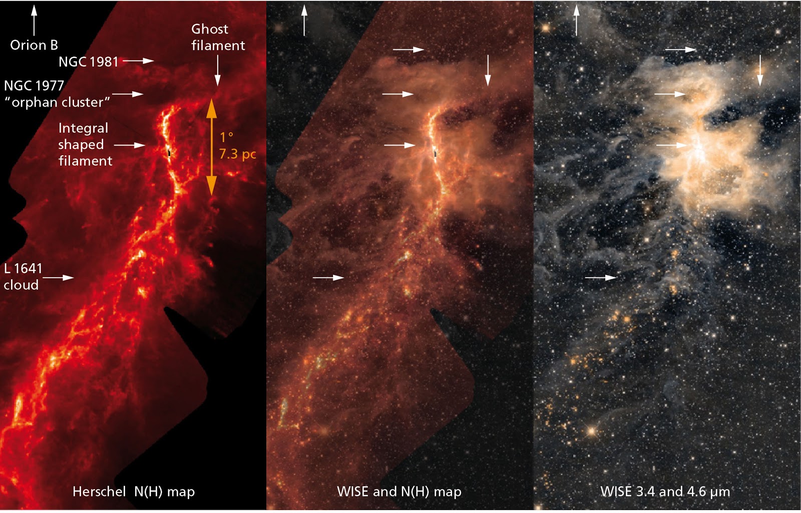 Origin of Galaxies.: Orion A and star formation.