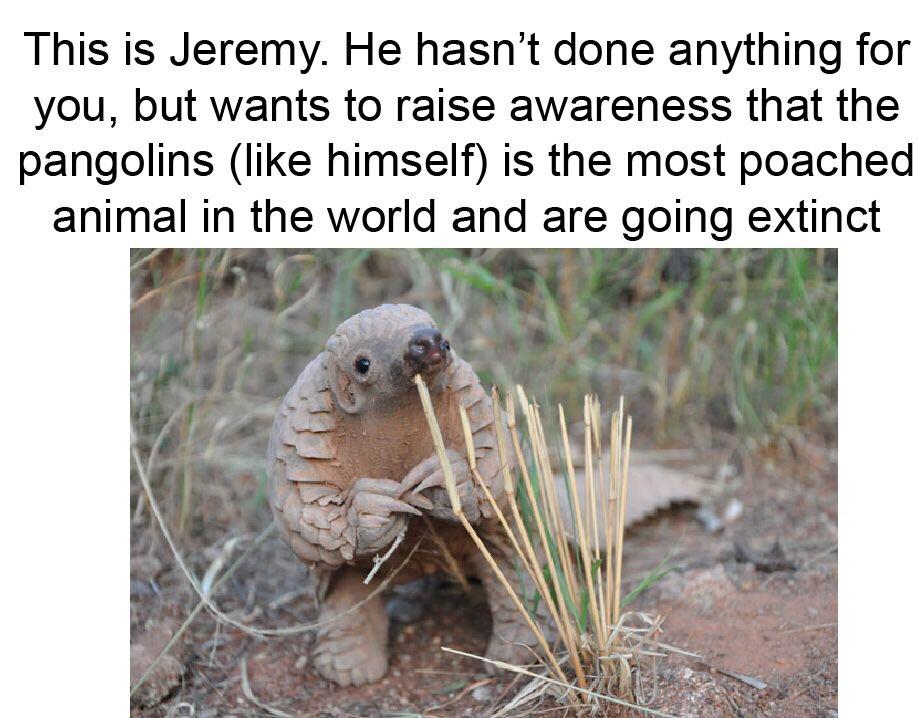 This is Jeremy. He hasn't done anything for you, but wants to raise ...