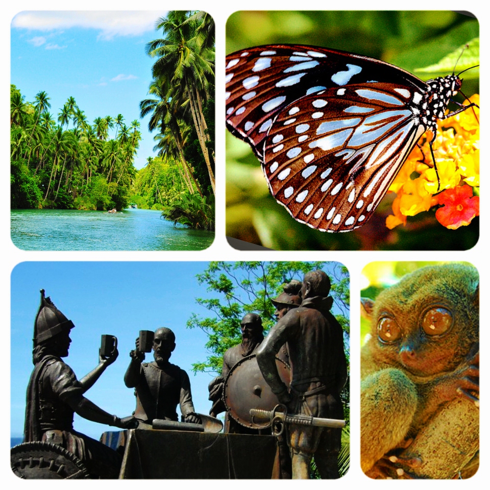Cebu: Bohol Day Tour Package