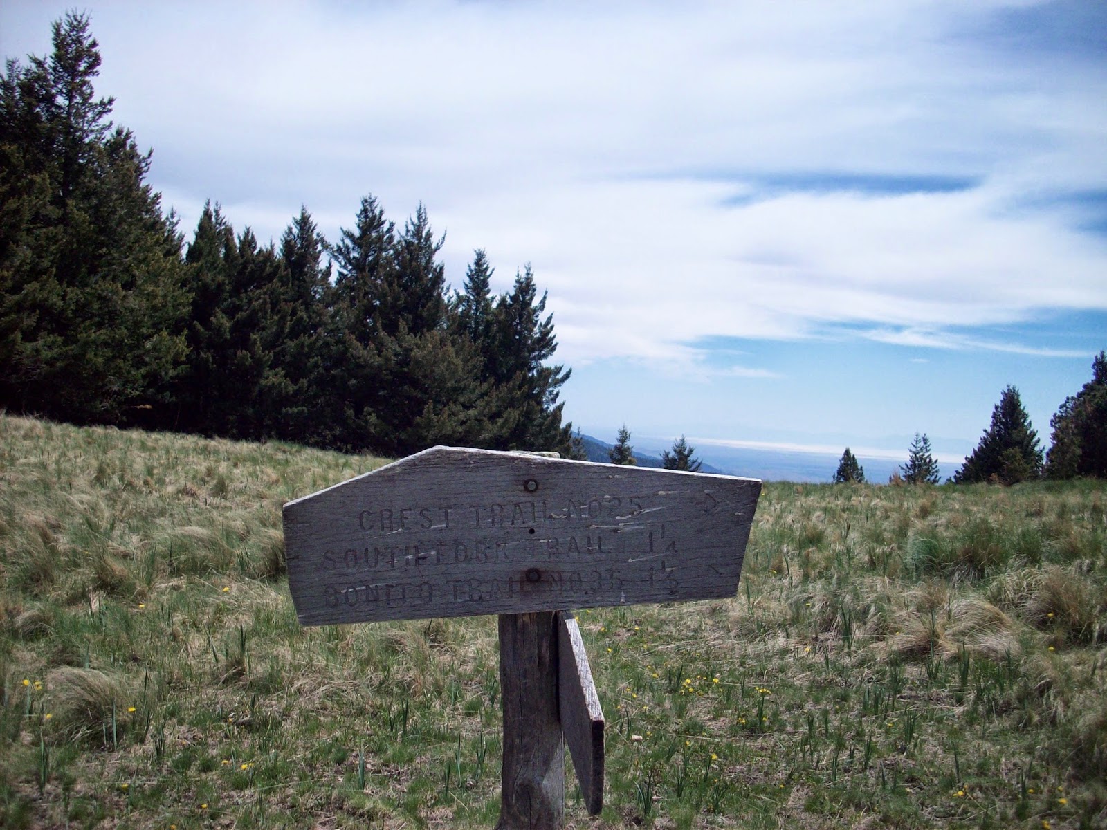 Southern New Mexico Explorer: Three Rivers Revisited-Lincoln National ...