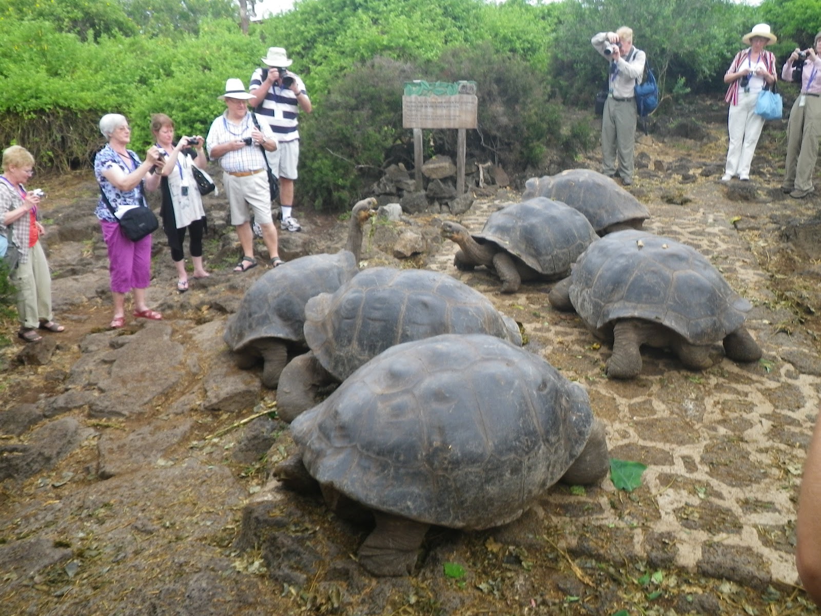 Travel in the nature: Galapagos islands travel