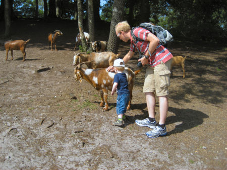 s/y Felicia Cruise 2012