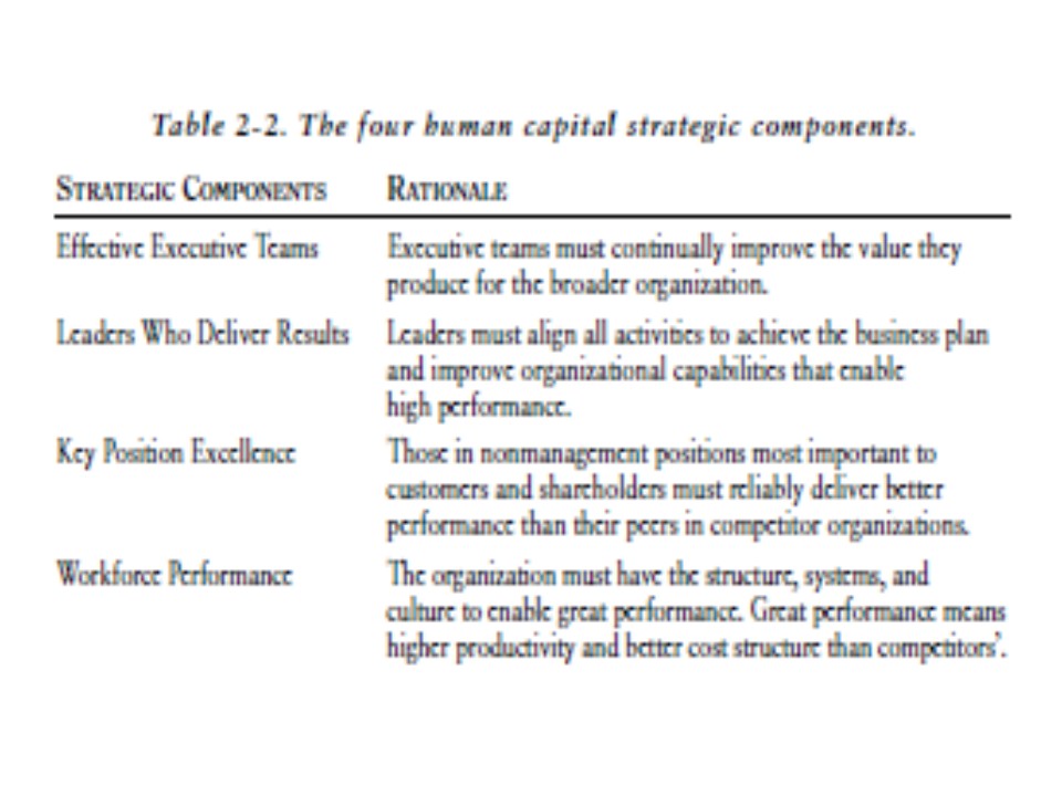 Human Resource Experience: Strategic Human Capital Components (Bradley ...