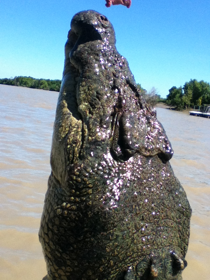 Scheffer Family's Great Aussie Adventure - 2013: 4 June 2013 – Humpty ...