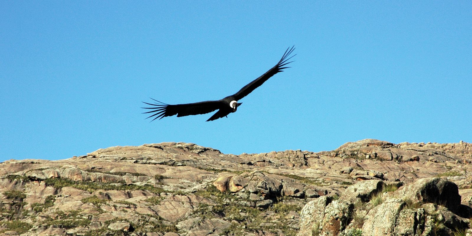 Región Centro Argentino