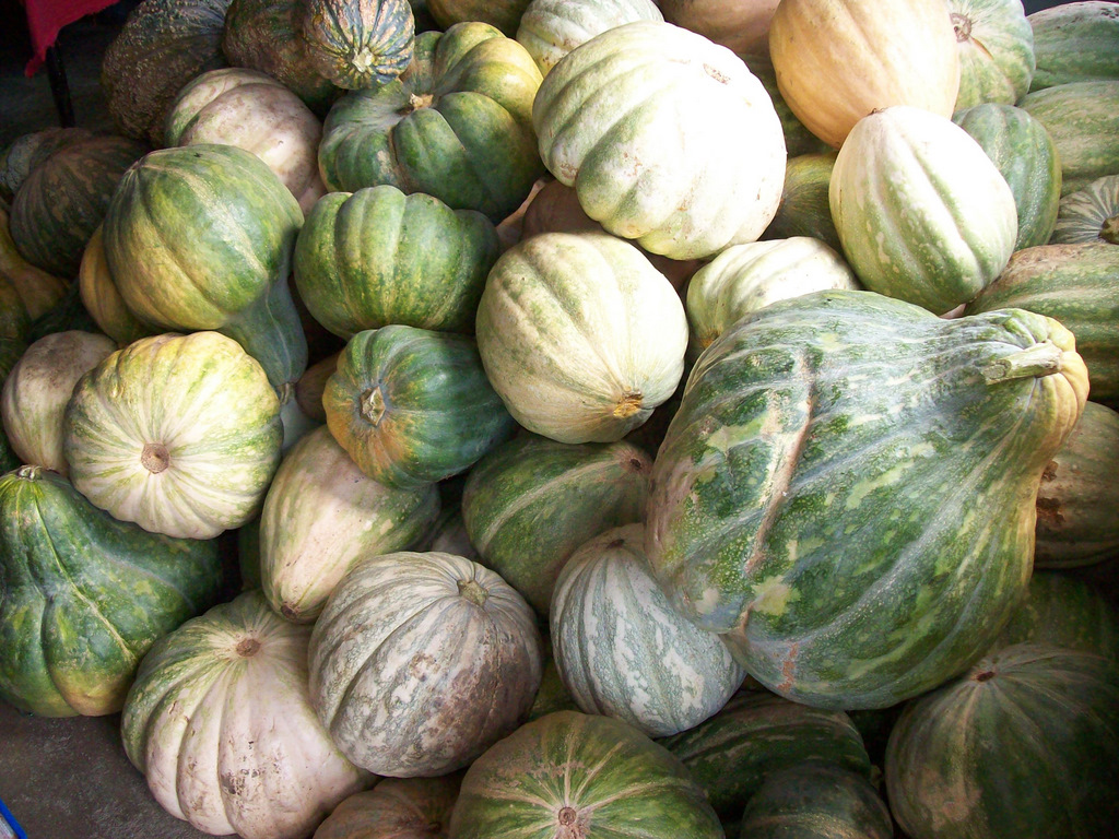 Orgânicos Terra Fértil Brejo M. Deus: Nossos Produtos Orgânicos