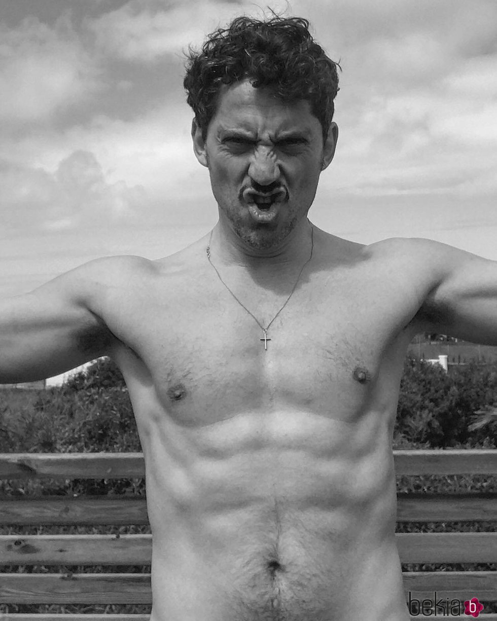 my new plaid pants: Good Morning, Gratuitous Paco León