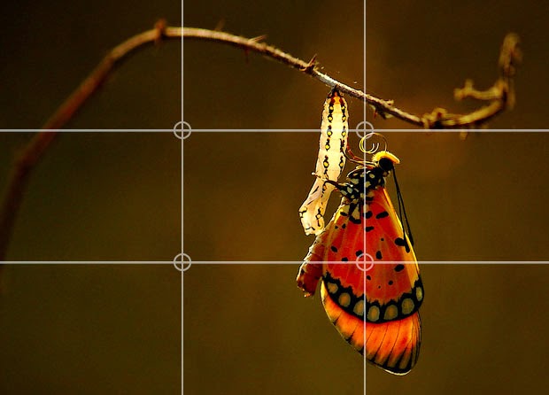Konsep Fotografi Rule Of Thirds