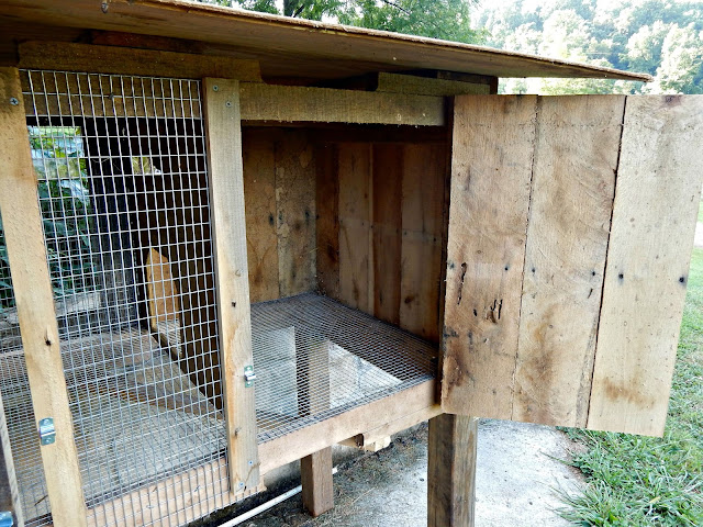 Two Bears Farm and the Three Cubs: Building a Rabbit Hutch From Pallets