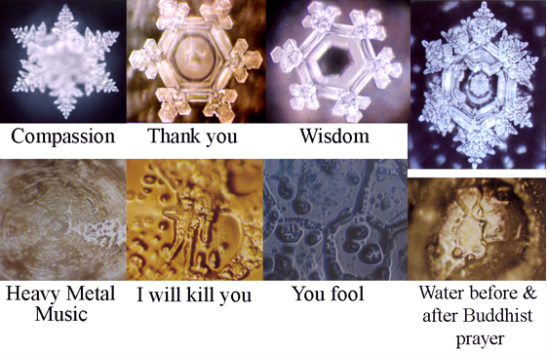 Dr. Emoto's Amazing Water Crystal Photosnikkenergy ~ it's all just energy