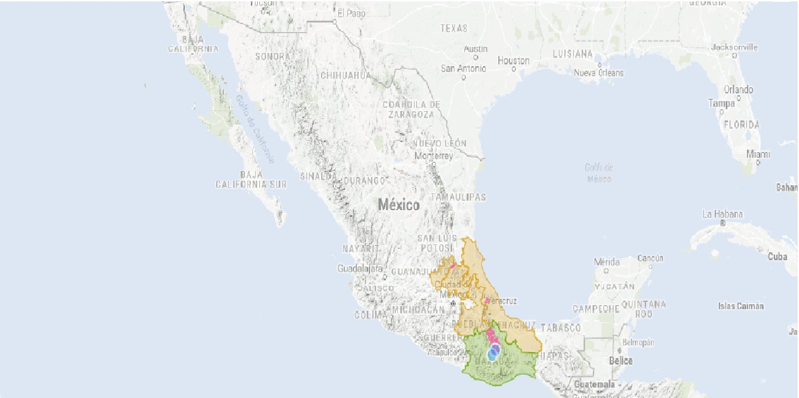Chara enana (Cyanolyca nana): Descripción y Distribución