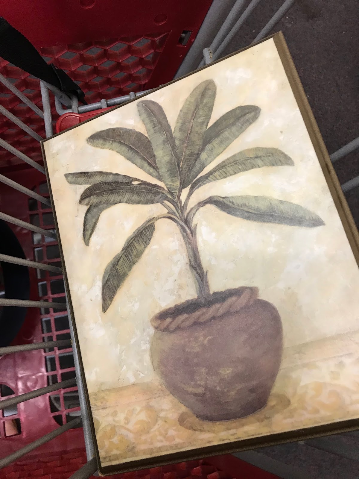 Let's Add Sprinkles: Thrifting British Colonial Style