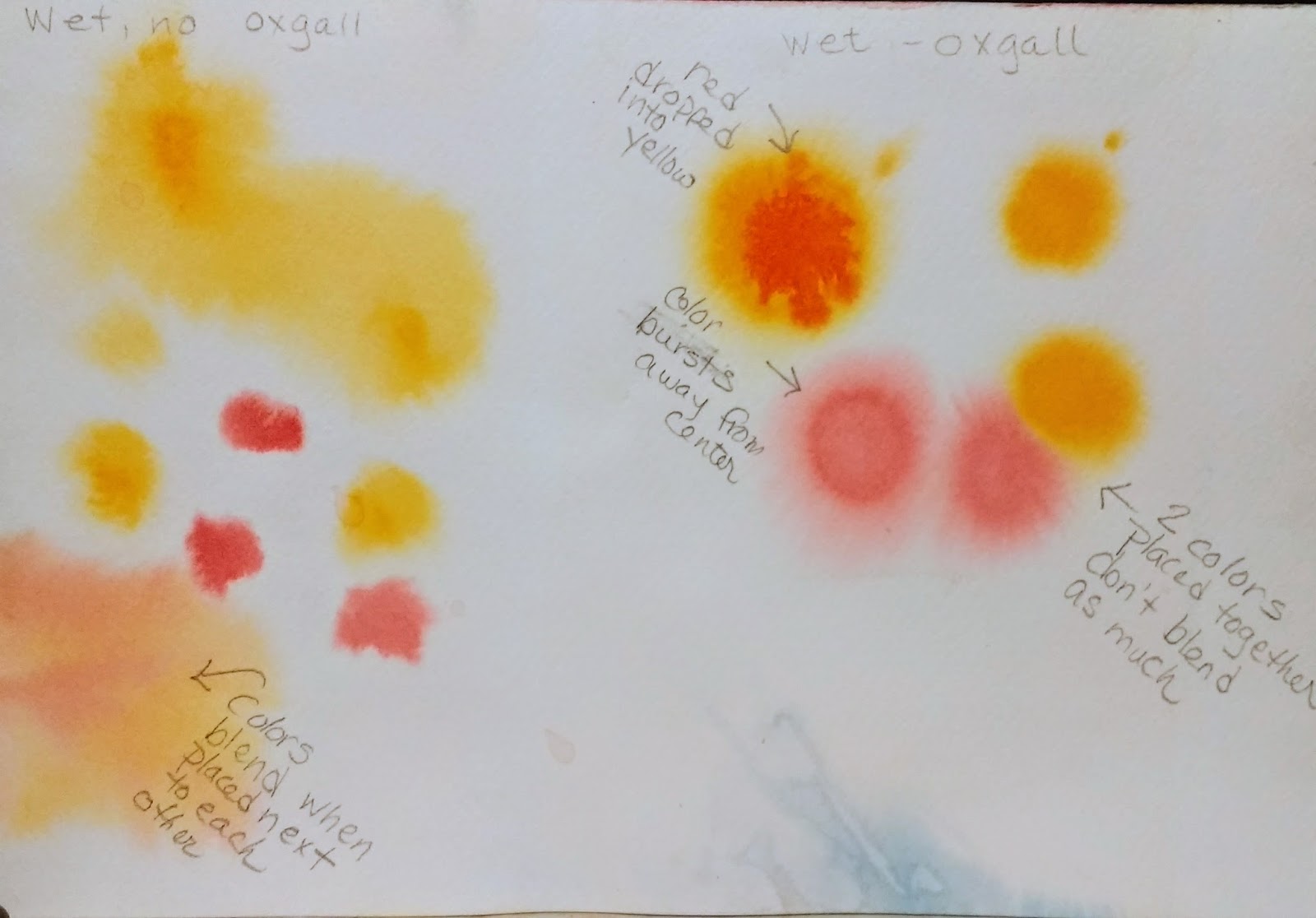Chris Campbell Watercolors: Ox Gall Medium