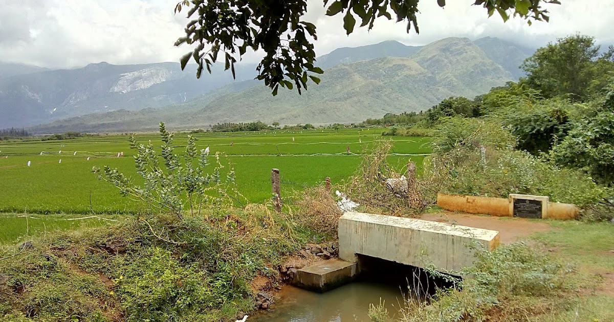 Kadayam Village - Tirunelveli, Tamilnadu, India: Nature Pictures Kadayam