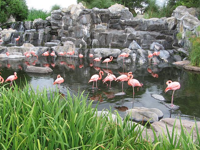 Temaiken Consejos para su Visita -Temaiken Bioparque | Tu Agenda y el ...