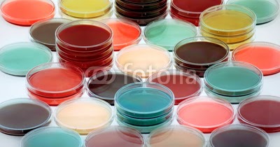 Microbiología: Tipos y Funciones de los Medios de Cultivo