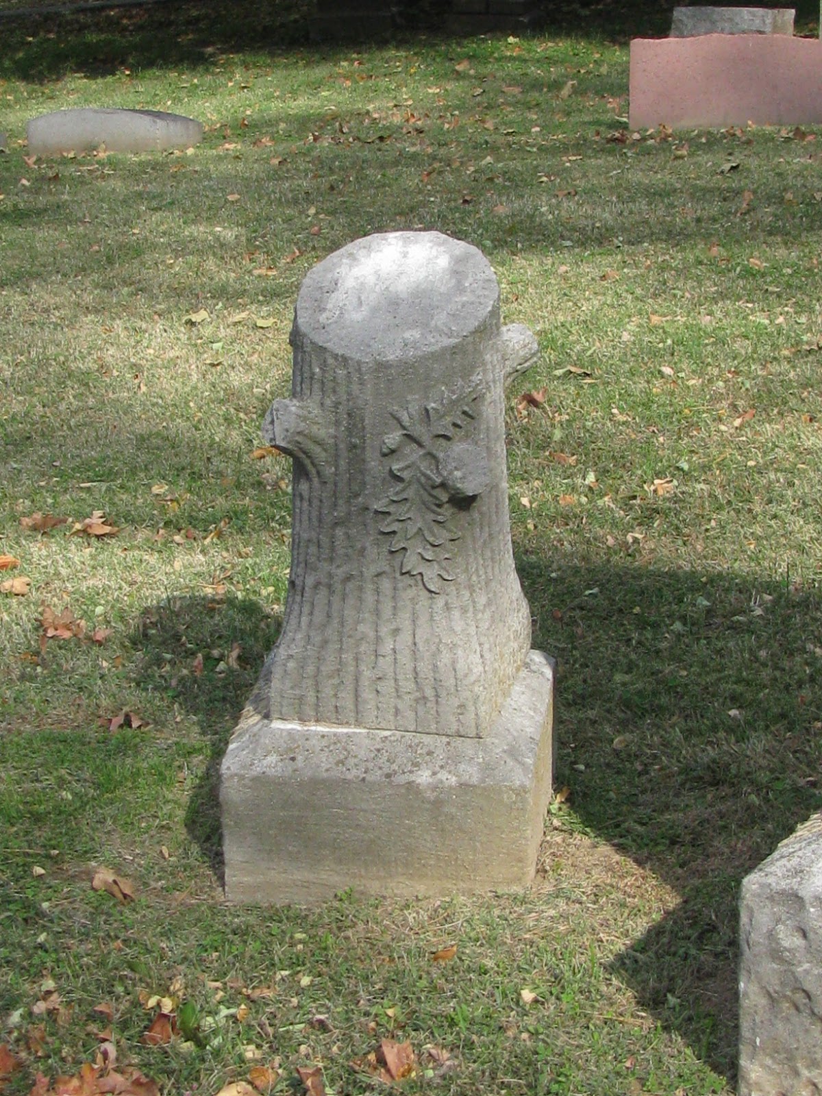 A Grave Interest: Those Amazing Tree Stones