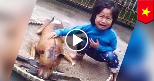 Tragic Moment Of A Little Girl When She Found Her Missing Dog At ...