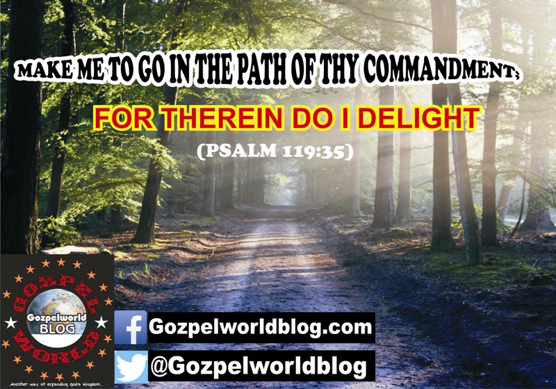 FINDING THE TRUE PATH OF GOD ~ GOZPELWORLD