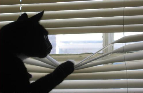 Teisuka's Station: Who is Always Stalking at the Window?