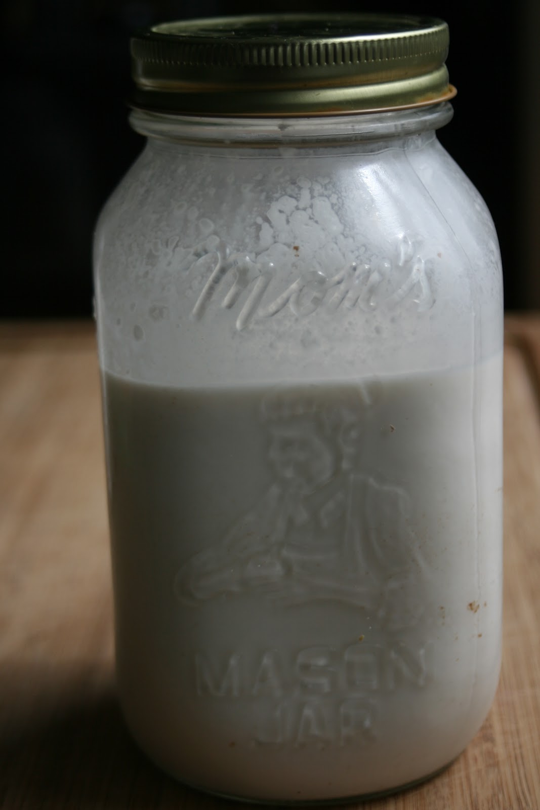 Pint Sized Foodies: Homemade Coconut Milk
