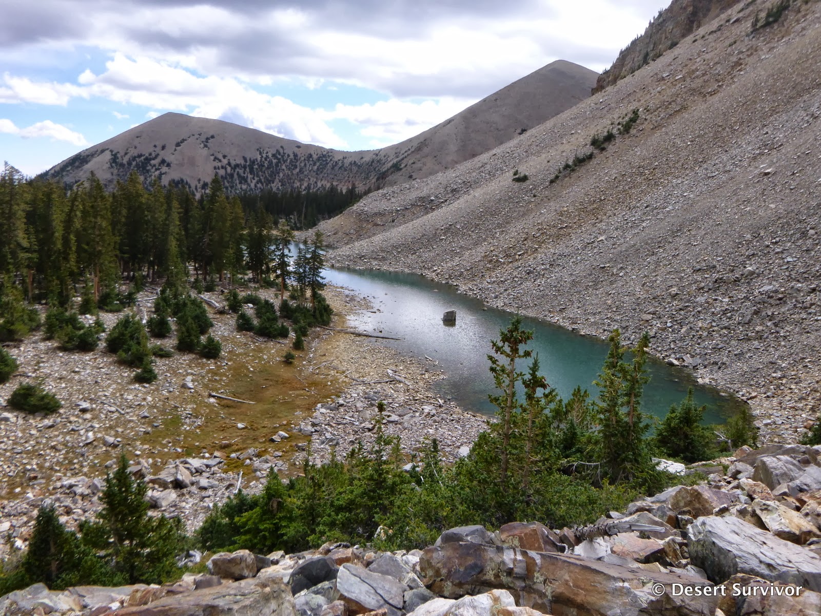 Desert Survivor: Hike to Baker Lake in Great Basin National Park