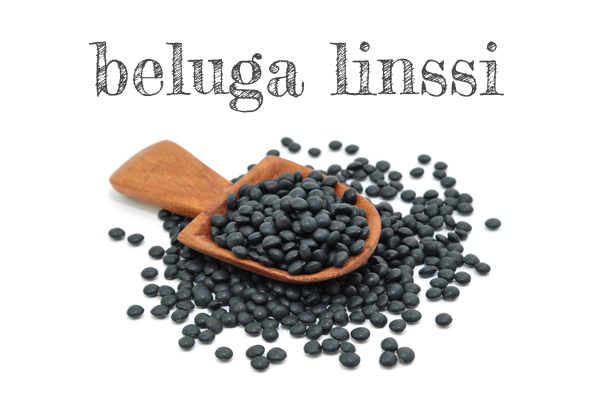 Mokon maailma: Proteiinirikas Beluga linssi