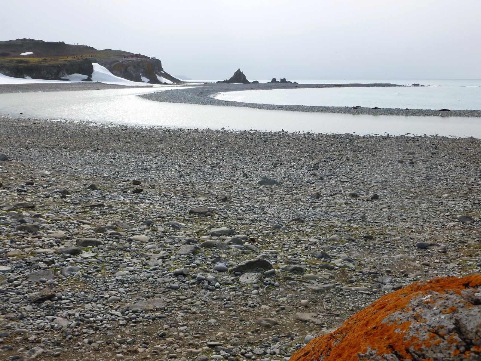 Garden Birds and other sightings...: Antarctica - Turret Point