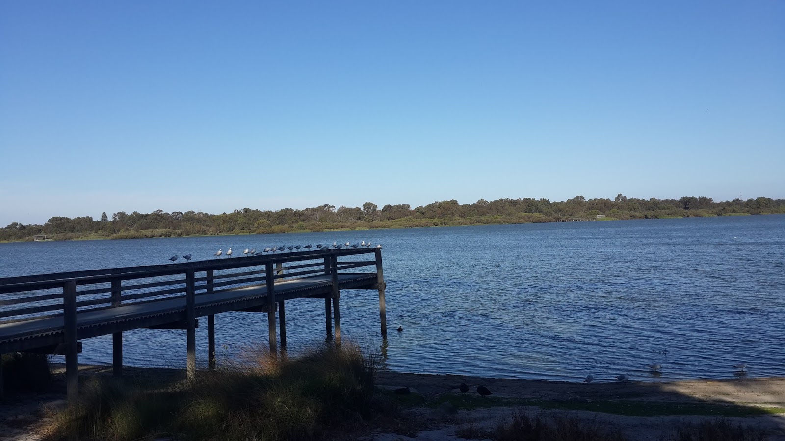My Travel Diary: Bibra Lake Reserve