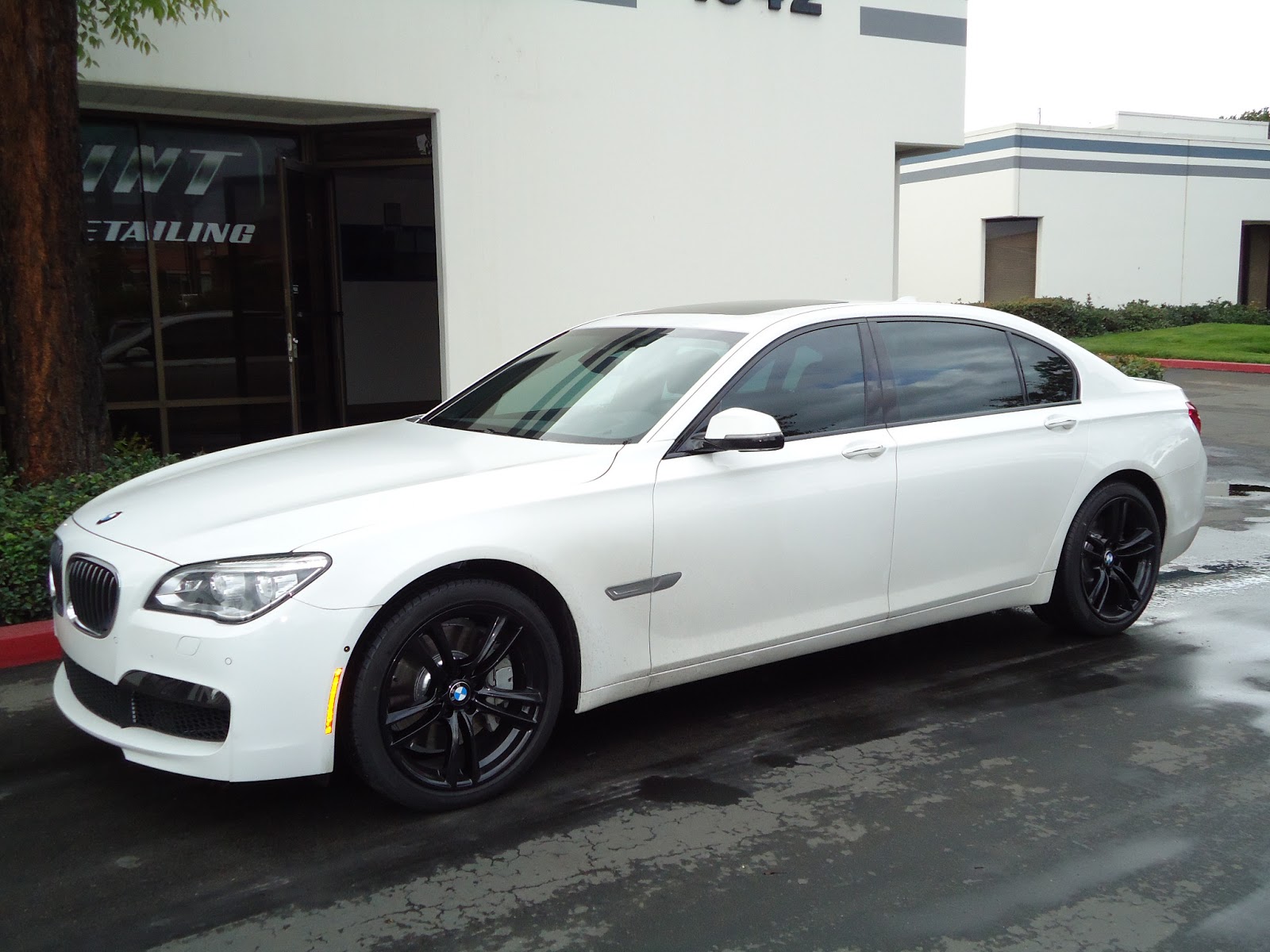 Shades Of Grey Window Tinting