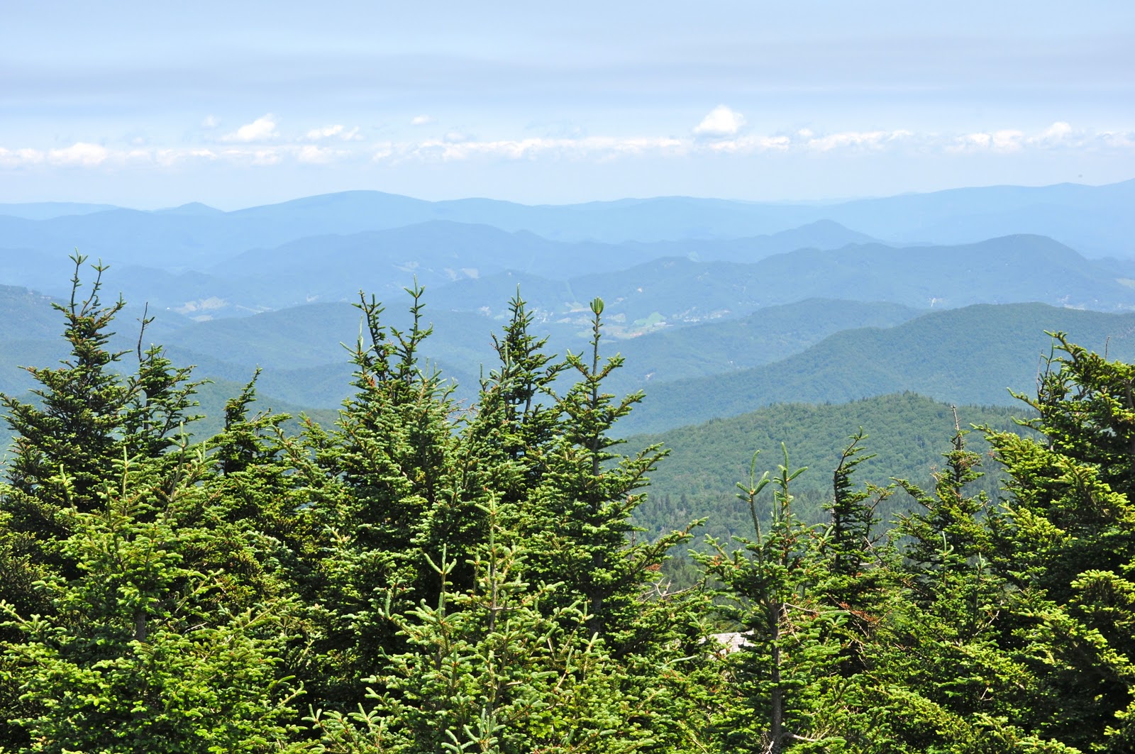 The Cove at Celo Mountain - Blog: The Cove at Celo Mountain - Through ...