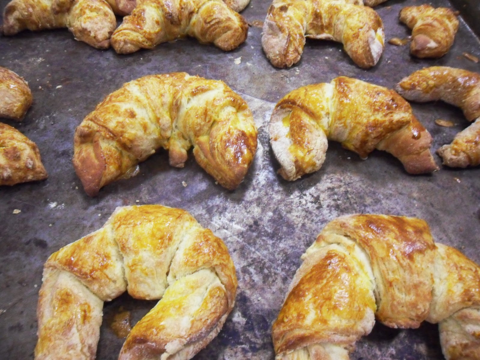 Brioches Salgados e Croissants