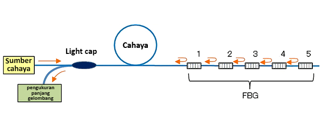 Definisi, Struktur, dan Fungsi Fiber Optik