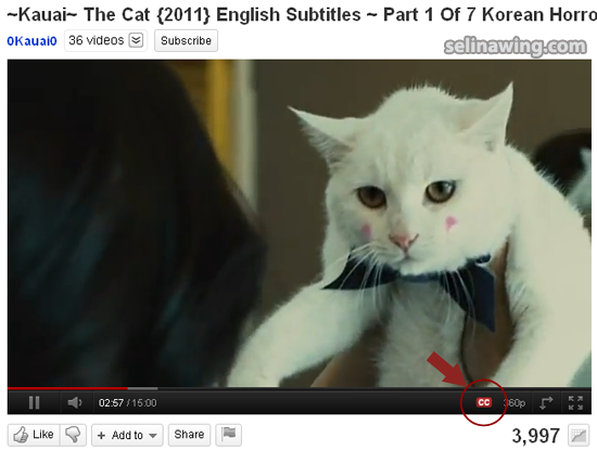 How get the subtitles and closed captioning for YouTube?
