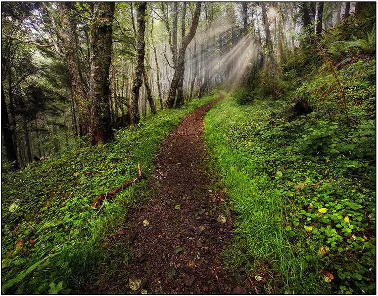 Dream.Believe.Achieve: Cascade Head Preserve