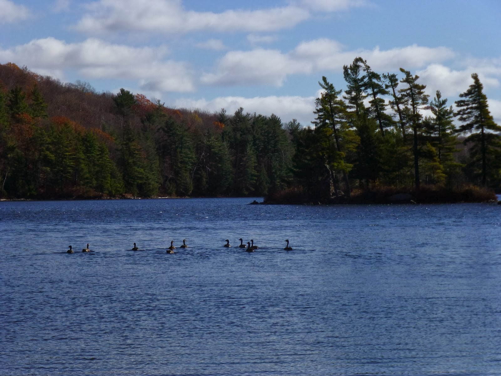 Off on Adventure: Jabe Pond - Lake George Wild Forest - 11/3/13