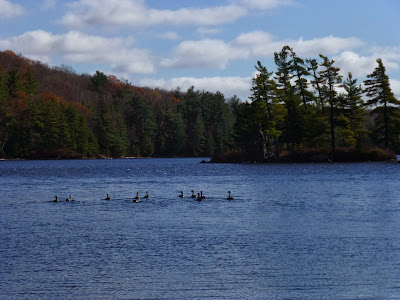 Off on Adventure: Jabe Pond - Lake George Wild Forest - 11/3/13