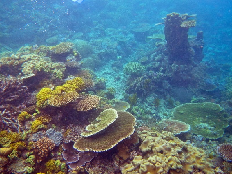 10 Reasons Why You Should Visit Australia