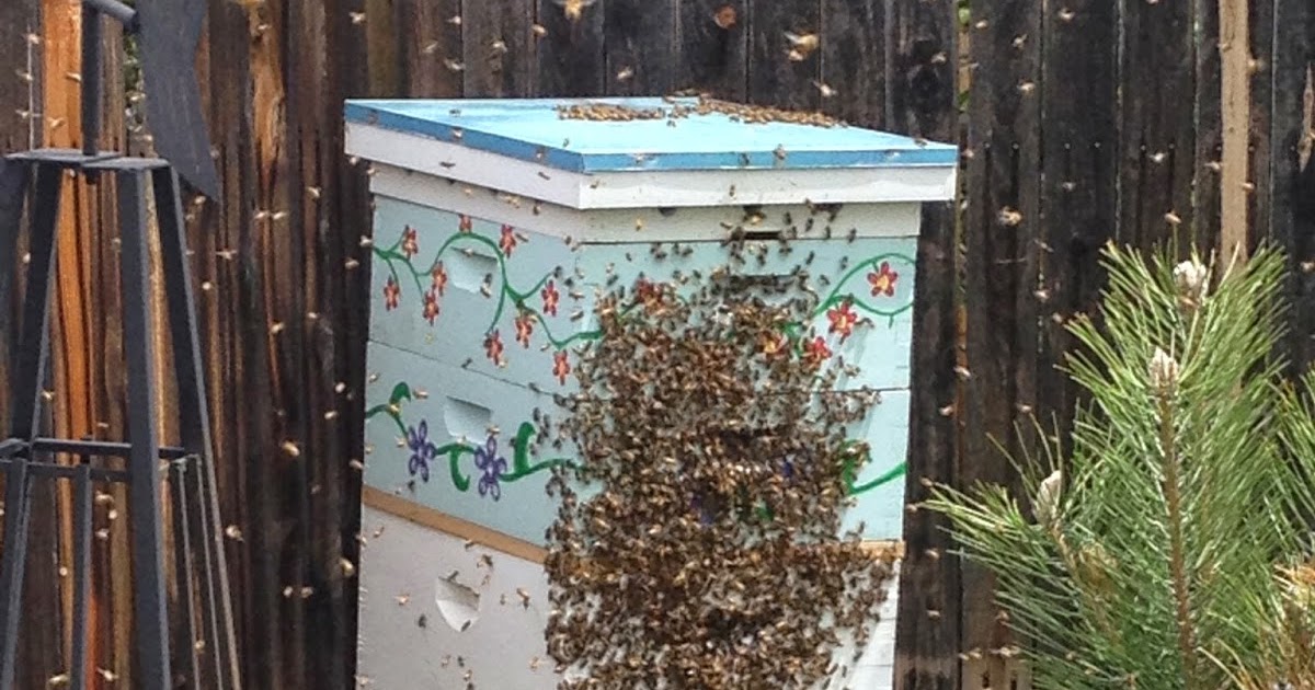 The Treehouser: Added Supers to Bee Hive, Got Neat Video